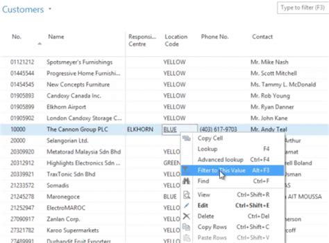 How To Use Advanced Filters In Microsoft Dynamics Nav