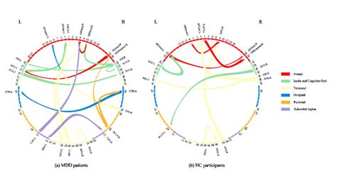 The Overlapping Connections Between The Directed Networks Of 5 Sites Of Download Scientific