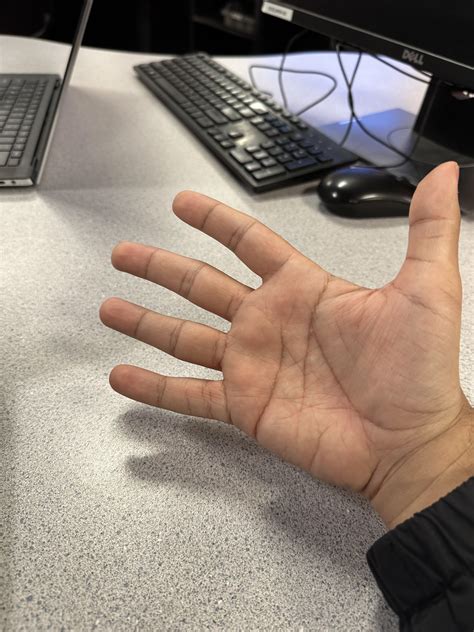 rock paper scissors object detection model by rockpaperscissors101