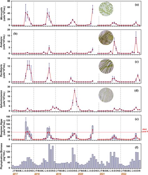 Interannual Variabilities In Average Cell Numbers Of A Microcystis