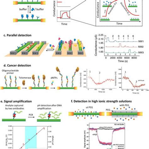 Anqi Zhang Postdoc Doctor Of Philosophy Stanford University Ca