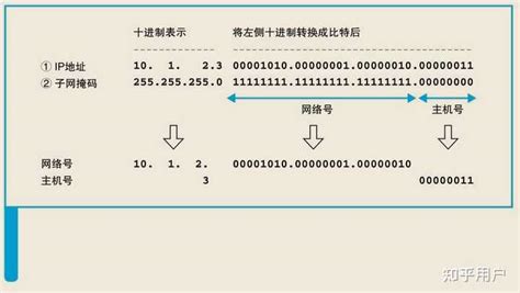 Ip地址的结构是怎样的，子网掩码有什么功能？ 知乎