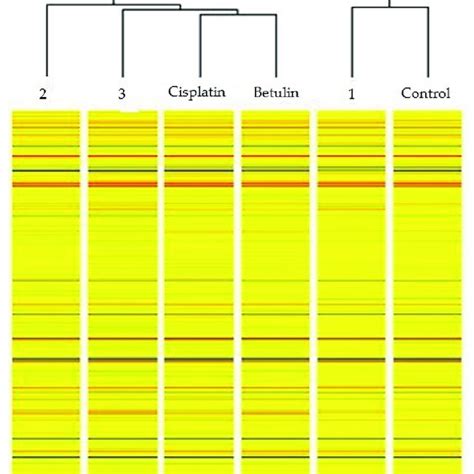 Hierarchical Clustering Of The Analyzed Transcriptomes Based On The
