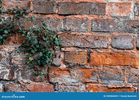 Texture Background Of Bricks With Lines Stock Image Image Of Pattern
