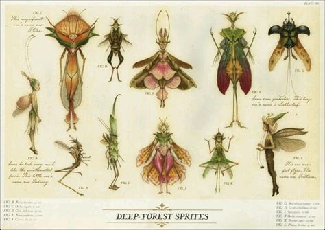 Sprite Mythical Creature
