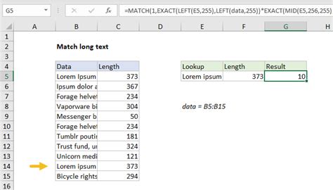 excel formula match long text exceljet