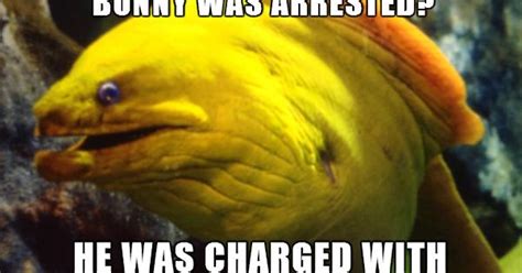 he should ve used the rechargeables meme on imgur