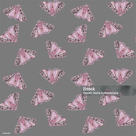 나방과 수채화 패턴입니다 밤 나비 곤충 손으로 그린 빈티지 그림 포장지 스케치북 초대장 인사말 카드 섬유 직물 고풍스런에 대한 스톡 벡터 아트 및 기타 이미지 Istock