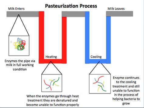 Heroes Of Food Safety Louis Pasteur And The Invention Of Pasteurization