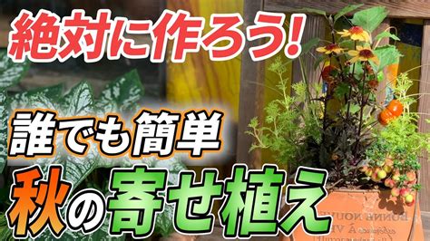 【必見！】初心者でも簡単！素敵な秋の寄せ植えを園芸のプロと作ろう！【土谷ますみ】【園芸チャンネル】 Youtube