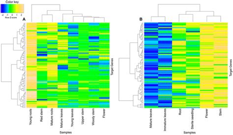 Heatmap Of Transcripts Using Expression Data Of Different Tissues Download Scientific Diagram
