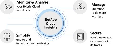 netapp cloud insights cloudpro store™