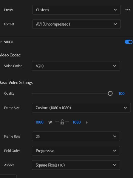 Avi Export Custom Format Rpremierepro