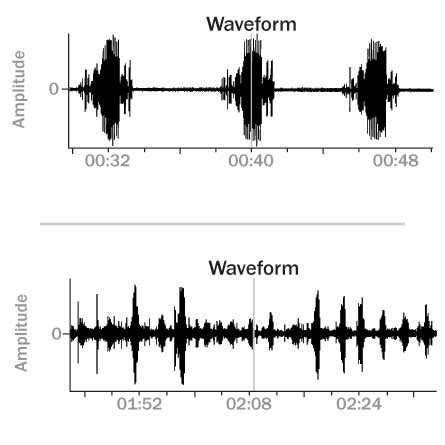Humpback Whale Alters Song If Another One Sings Along