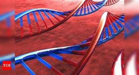 Human Dna To Help Create Faster Cheaper Chips Soon Times Of India