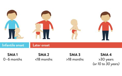 Understanding SMA