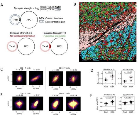 figure 1 from computational immune synapse analysis reveals t cell