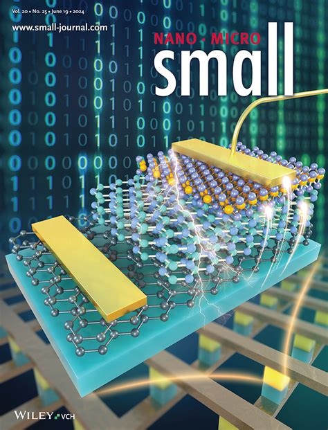 2d Memory Selectors With Giant Nonlinearity Enabled By Van Der Waals Heterostructures Small 25