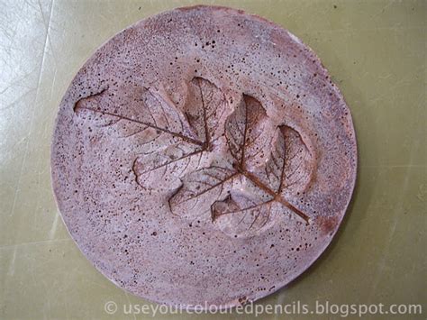 Use Your Coloured Pencils Plaster Cast Fossils