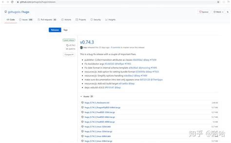 Hugo Gitee 搭建个人博客 知乎