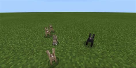 Are Black Rabbits Rare In Minecraft Hannah Thomas Coloring Pages