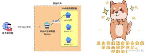 Nginx【nginx场景实践代理服务、 反向代理、负载均衡、负载均衡算法】八 全面详解（学习总结 从入门到深化） Csdn博客