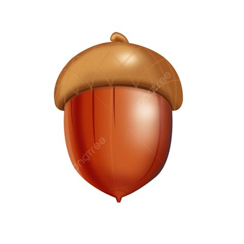 시뮬레이션 도토리 가을 견과류 가을 열매 범퍼 수확 Png 일러스트 및 Psd 이미지 무료 다운로드 Pngtree