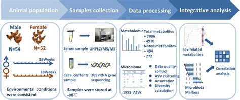 Rrna Sequencing An Introduction To Next Generation Sequencing