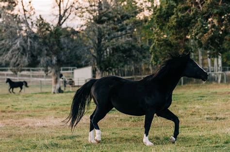 Ojava Crystal Peaks Youth Ranch