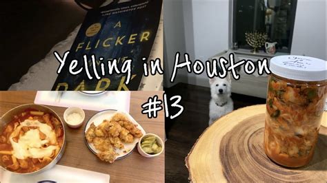 휴스턴 Vlog 미국생활 브이로그인척 하는 먹는것뿐인 브이로그 셰퍼드파이 닭날개조림 굴튀김과 엽떡 등뼈김치찜 라이스빌리지 케이크가게 강아지 셀프미용 너무