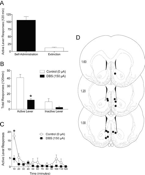 Figure 1 From Deep Brain Stimulation Of The Nucleus Accumbens Shell Attenuates Cue Induced