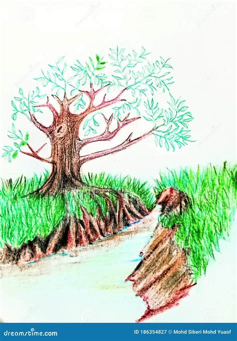 Original Pencil Colors Drawing Or Hand Sketch Of A Tree And Grass On River Slope White