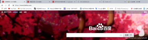 高并发与负载均衡——nginx反向代理与负载均衡nginx反向代理最多支持并发 Csdn博客