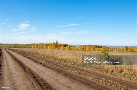 가 장면입니다 가 혼합된 숲에서 아름 다운 흙 길 언덕이 많은 지형 시 든 잔디 자란 했다 도 압 연 최대 기계 분야에서 수확 밖으로 데리고 0명에 대한 스톡 사진 및 기타
