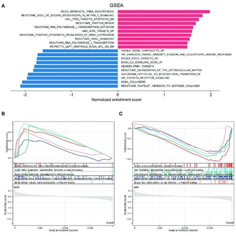 Enrichment Plots From Gsea A Significantly Enriched Pathway Download Scientific Diagram