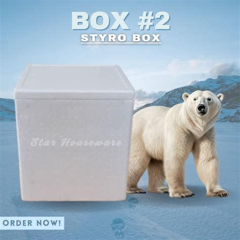 Big Box Styrobox Styro Box Picnic Box Ice Chest Ice Box Cooler Styrofoam Box Box2