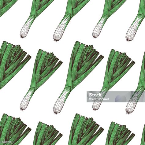 리크 이음새가 없는 패턴 손으로 그린 배경 벡터 일러스트레이션 손 그리기 스케치 그림 리크 야채 손으로 그린 배경 농장에 대한