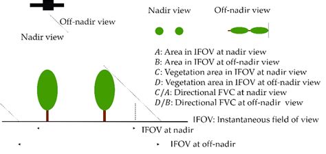 Illustration Of The Viewing Angle Dependency Of The Directional Fvc Download Scientific