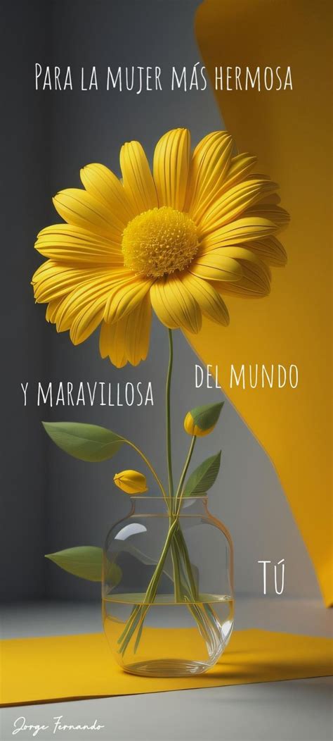 Pin De Jorge Fernando En Para La Mujer Más Hermosa Y Maravillosa Del
