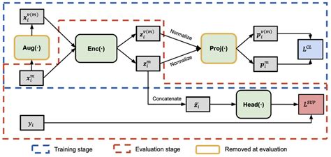 schema of the contrastive learning framework with training and