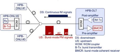 Schematic Of Dsp Based Optical Coherent Pon Download Scientific Diagram