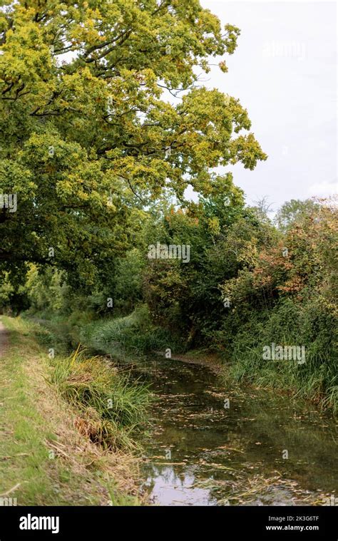 A Repaired Reclaimed Section Of The Wilts And Berks Canal Near