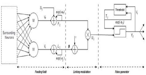 A Pcnn Neuron Structure Download Scientific Diagram