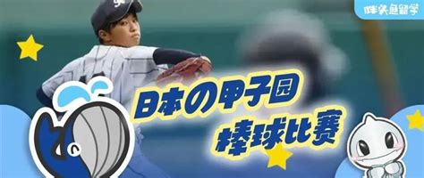日本の甲子园棒球比赛 知乎