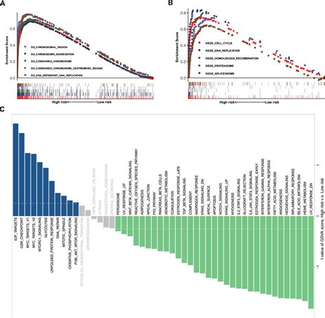 Gsea And Gsva Data A Top Five Representative Go Annotation Terms In Download Scientific