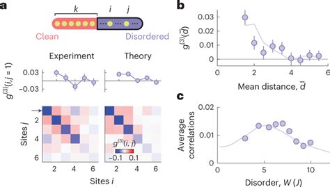 Bath Induced Many Body Correlations A Three Point Correlations Download Scientific Diagram