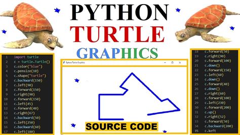 Python Turtle Graphics 01 Source Code ~xray Pixy Youtube