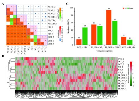 Statistical Analysis Of The Results Of High Throughput Differential