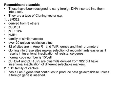 PPT Plasmids PowerPoint Presentation Free Download ID 6367027