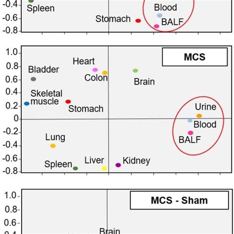 Bidimensional Principal Component Analysis Pca Of Mirna Profiles Pca Download Scientific